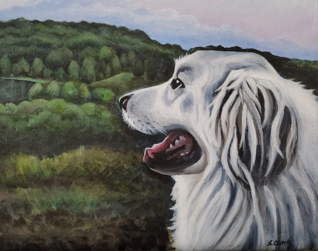 Sandy's Studio | Portraits | Artist, Sandy Clark | Available Portraits